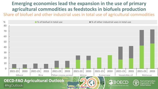 The OECD-FAO Agricultural Outlook 2024-2033 | PPTX | Agriculture | Industries