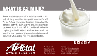 About A2 Milk | PDF
