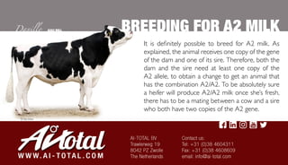 About A2 Milk | PDF