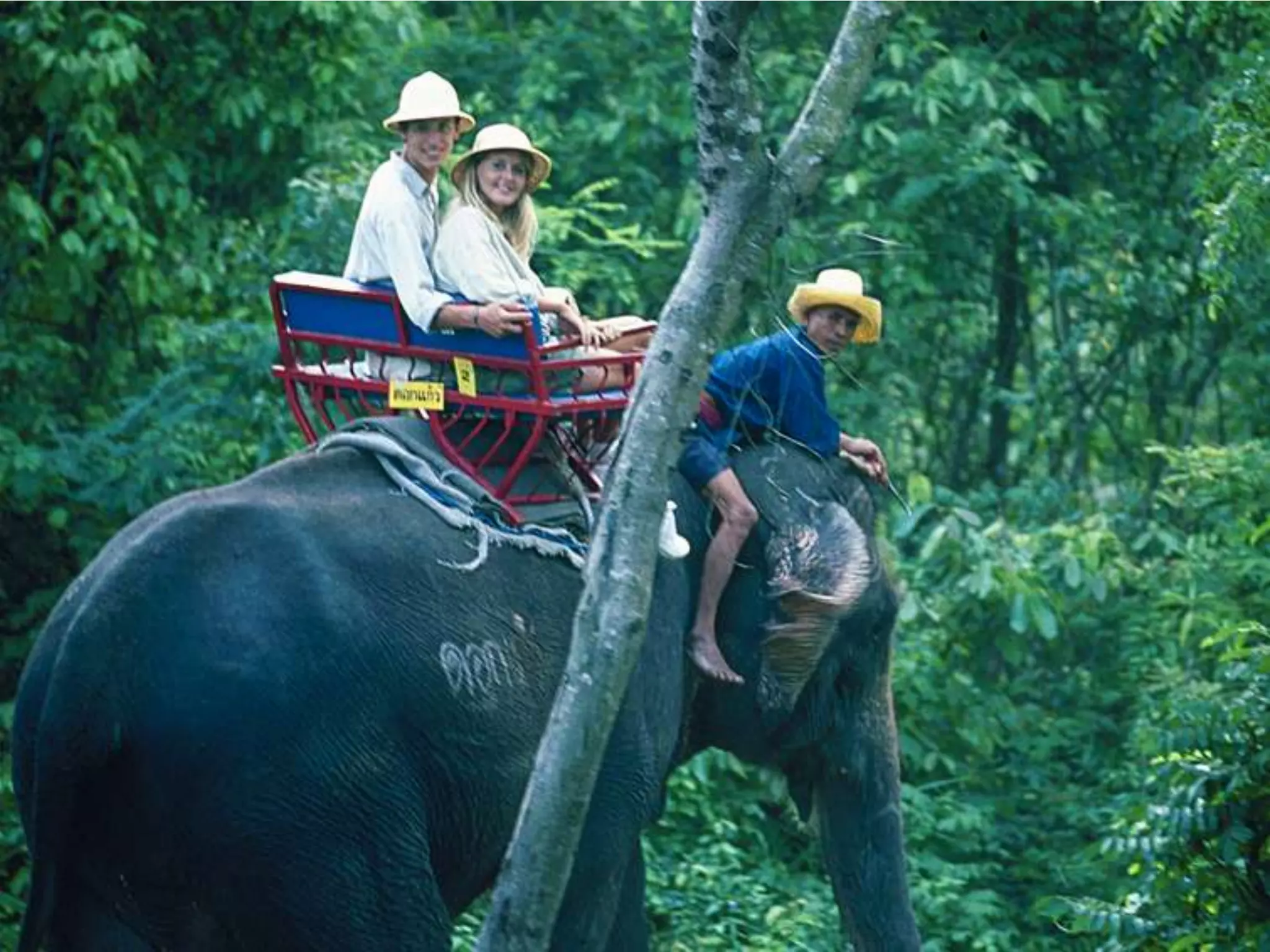 Engaging Activities | PPTX