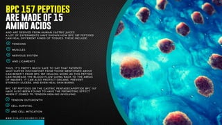 BPC 157 | PEPTIDE THERAPY | VITALITY SCIENCES | PPT