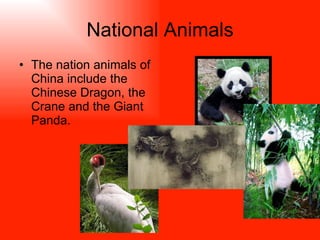 Slide Show China | PPT