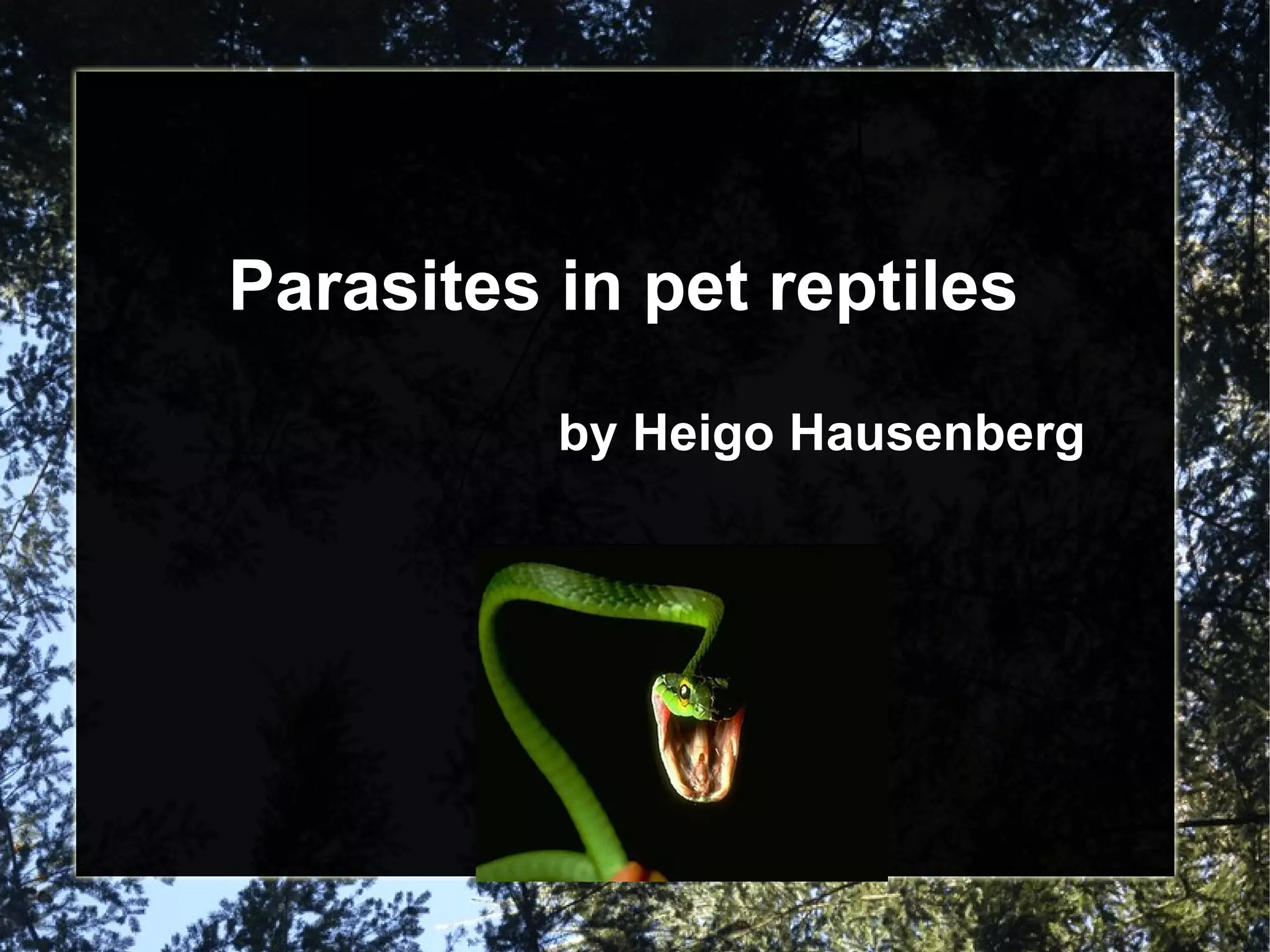 Parasites in pet reptiles | PPT
