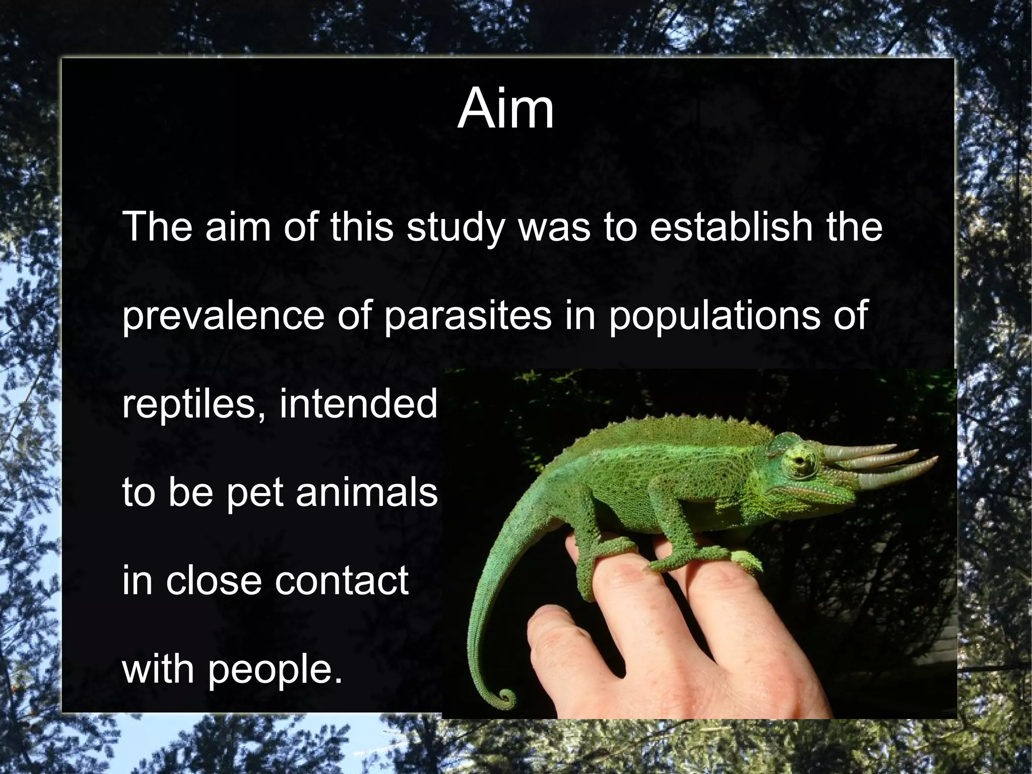 Parasites in pet reptiles | PPT