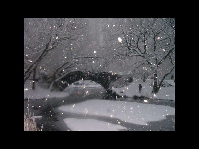 Photographs produced by David DePhillips | PPT | Business Travel ...