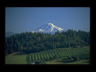 Photographs produced by David DePhillips | PPT