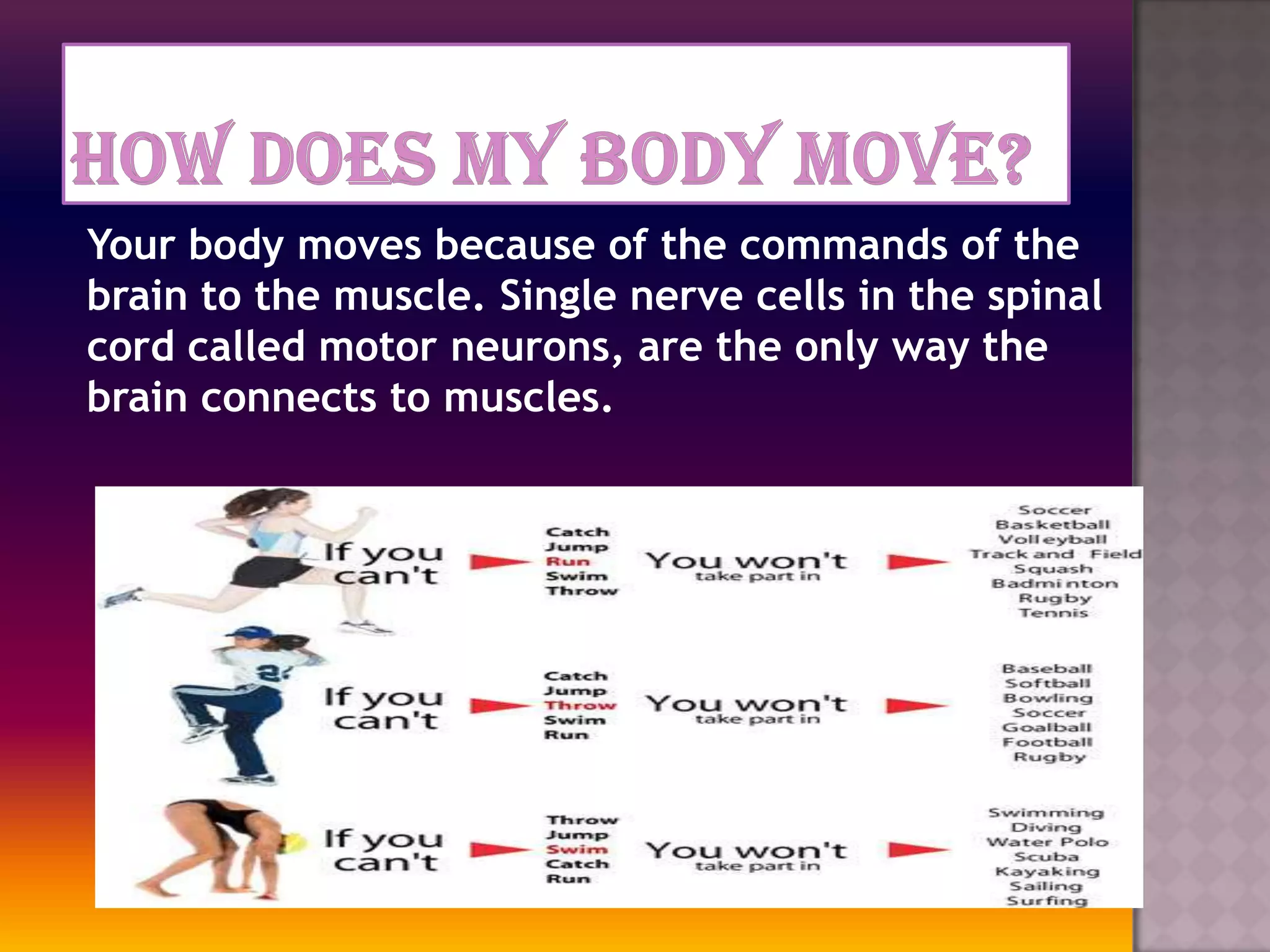 Slideshow presentation | PPTX