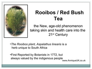 Annique Rooibos Products | PPT
