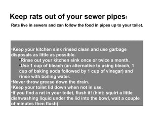 Slide Show Rodents | PPT