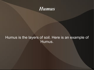 Weathering and Erosion Slideshow | ODP