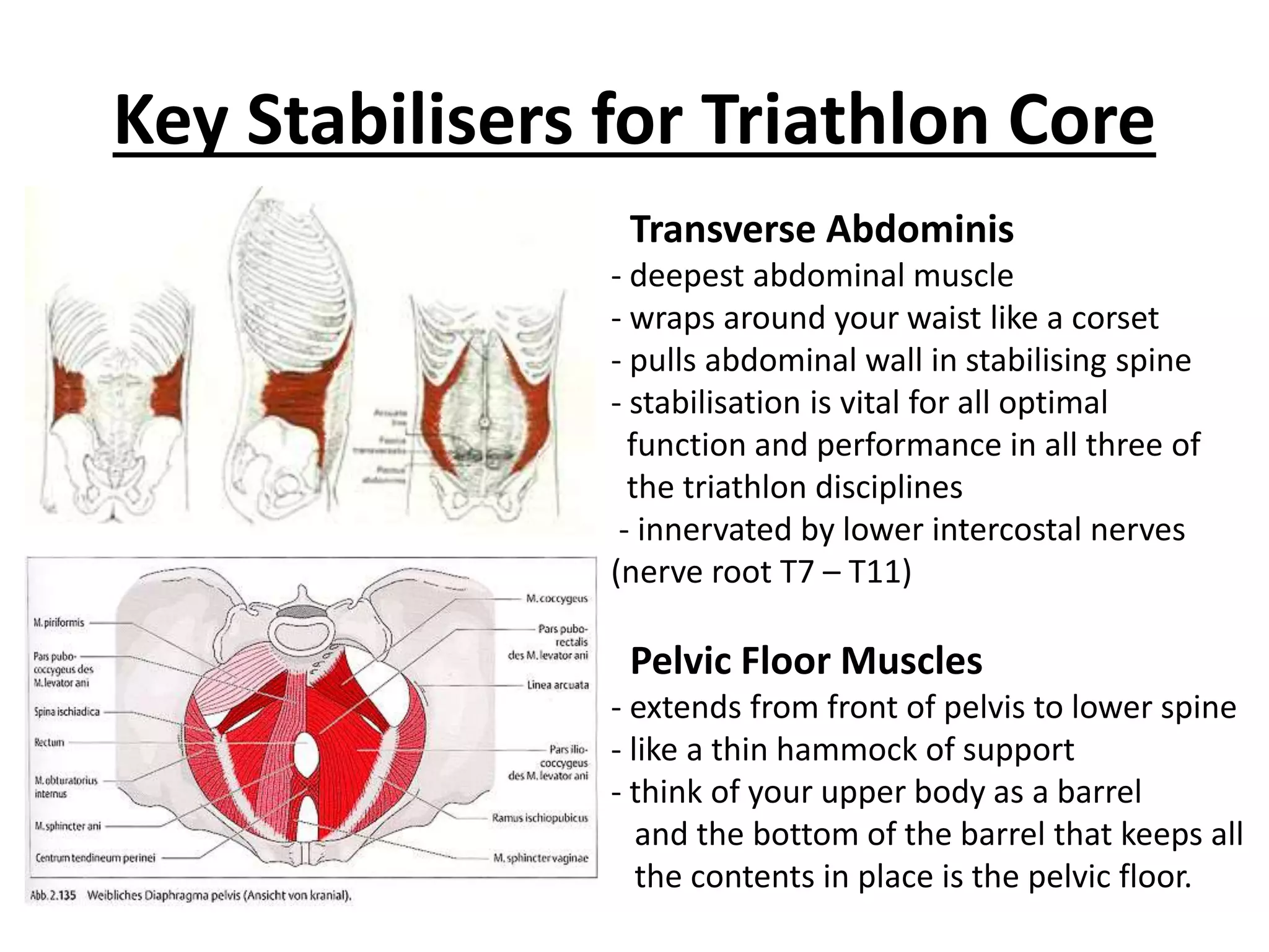 Strength Core Conditioning for Triathlon | PPTX