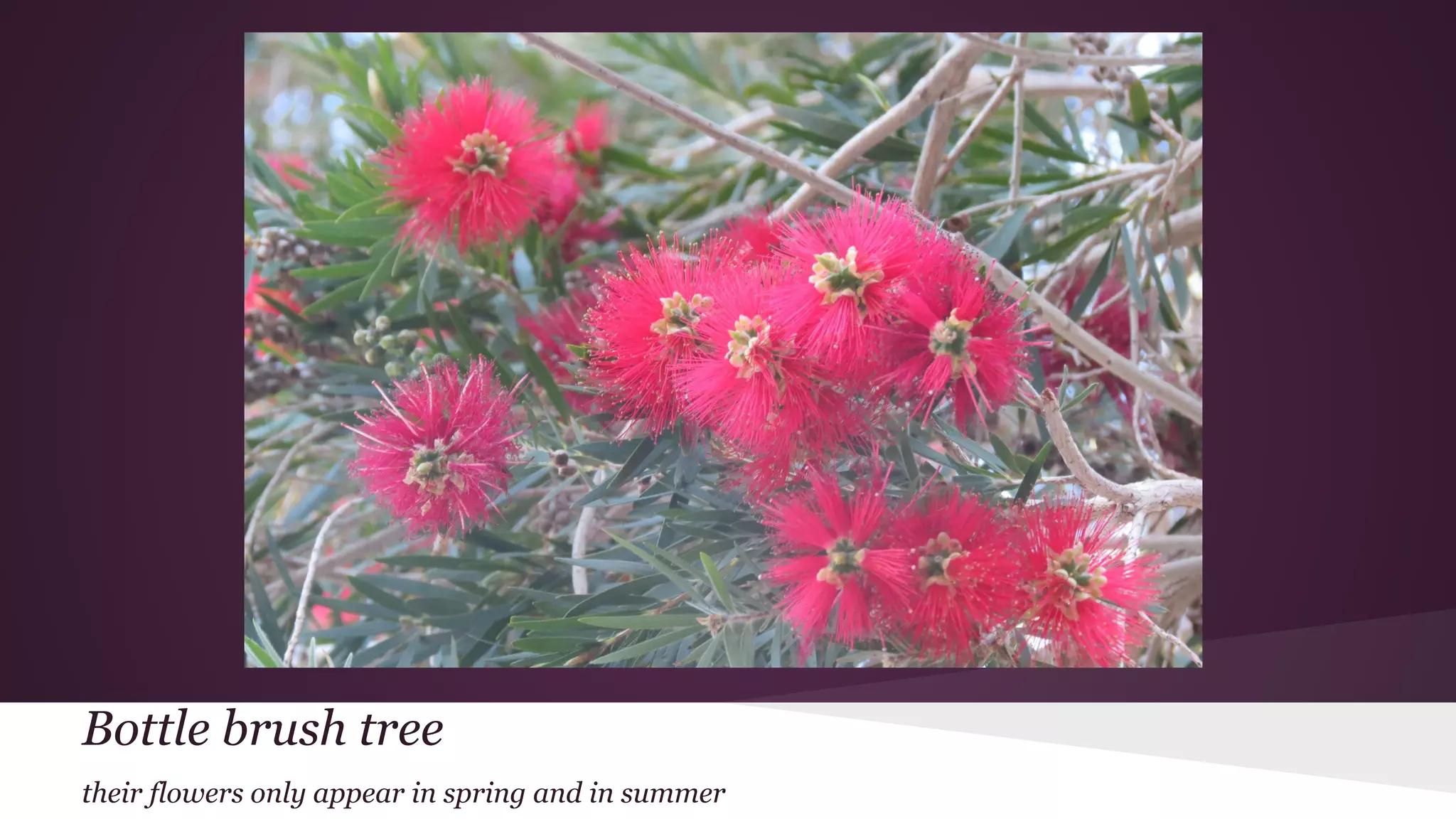 Slideshow Theme Assignment 2 Ppt Free Download 3853