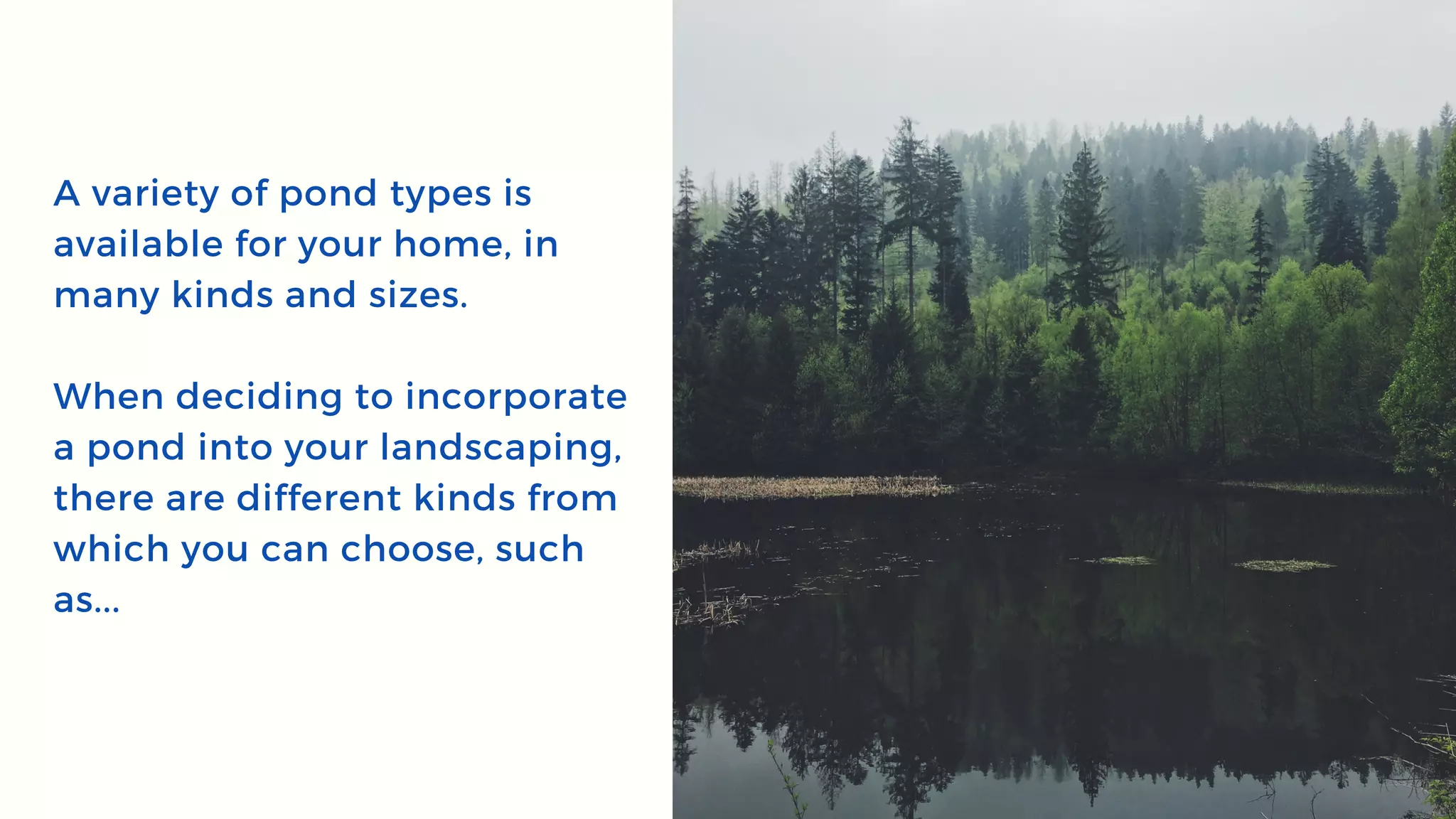 Types of Ponds for Your Home | PDF | Fish and Aquariums | Pets