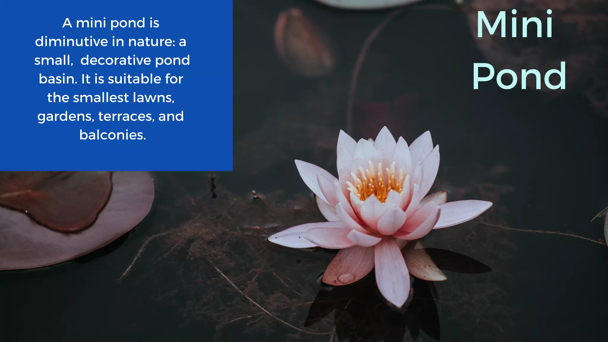 Types of Ponds for Your Home | PDF