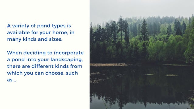 Types of Ponds for Your Home | PDF