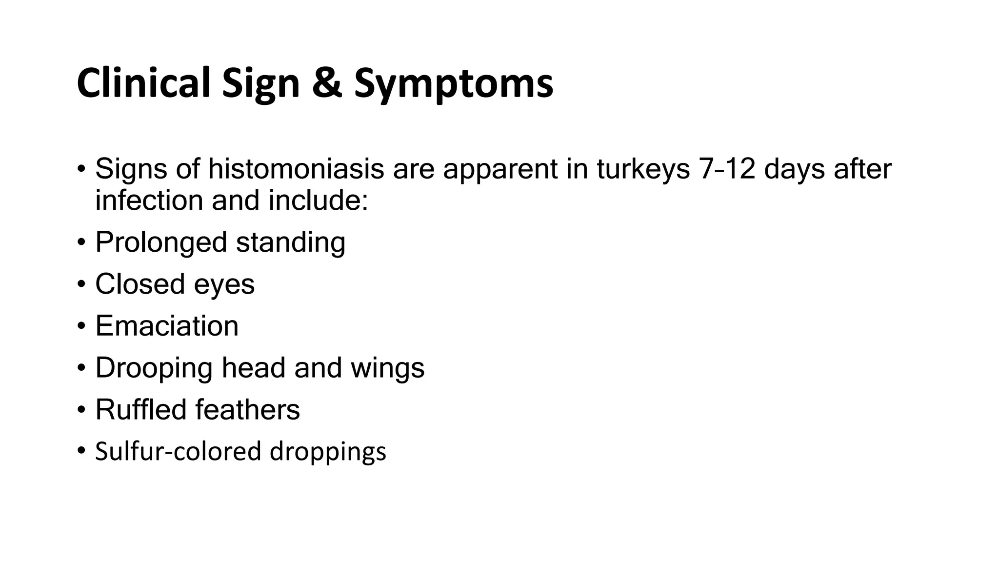 Histomonas meleagridis | PPTX