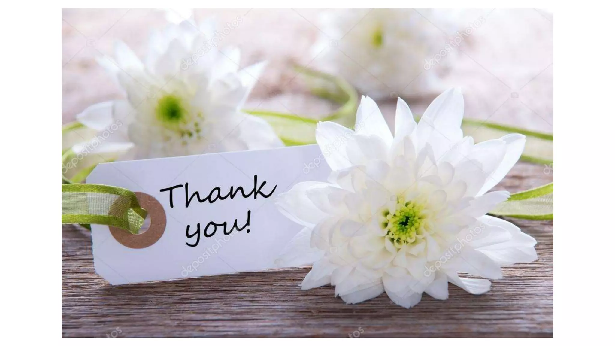 Histomonas meleagridis | PPTX