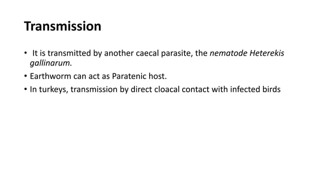 Histomonas meleagridis | PPTX | Infectious Diseases | Diseases and ...