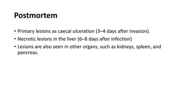 Histomonas meleagridis | PPTX | Infectious Diseases | Diseases and ...
