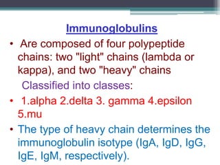 slides immunoglobulins (1).ppt