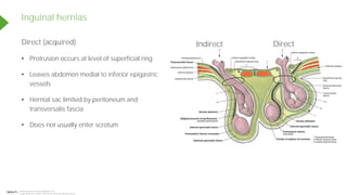 Slides_Inguinal_Region.pdf