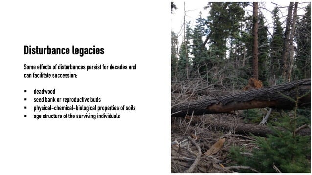 SLIDES lesson 14 - climate smart forestry | PPT