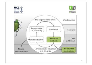 Vapour Sensing Properties of Bio-Inspired Synthetic Nanostructures | PPT