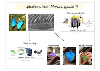 Vapour Sensing Properties of Bio-Inspired Synthetic Nanostructures | PPT