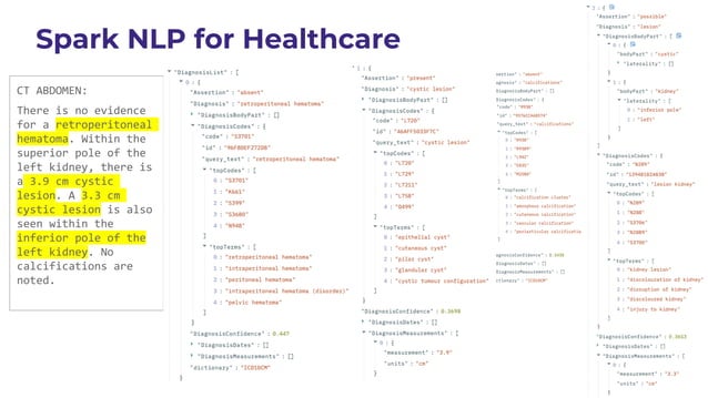 Harnessing the Power of NLP and Knowledge Graphs for Opioid Research | PPT