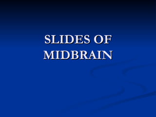 SLIDES OF MIDBRAIN123456789123456789.ppt