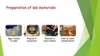 Slides of solid media | PPTX