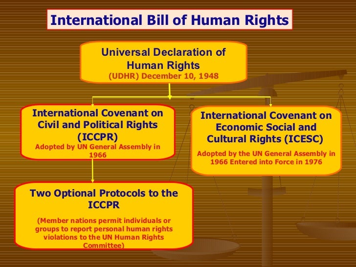 Slides on media in human rights reportings 55555555555