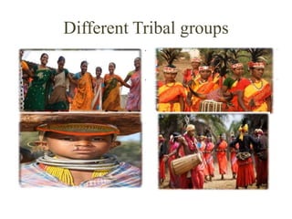 Slides on tiribals, dikus and vision of a golden age (viii) | PPTX