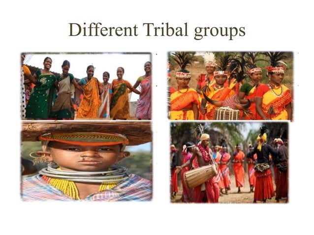 Slides on tiribals, dikus and vision of a golden age (viii) | PPTX | Woodworking | Arts and Crafts