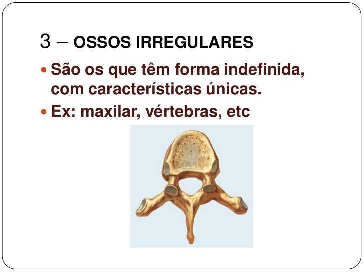 Slides osteomioarticular