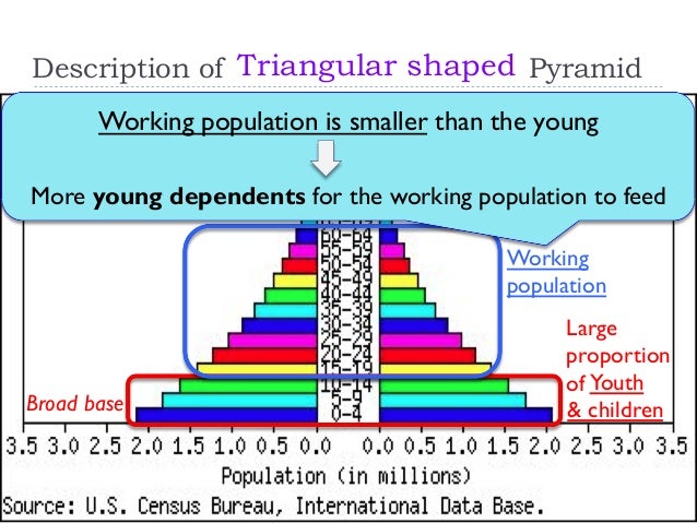 S2 GE Slides - Population Pyramid