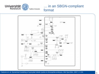 Practices for drawing biological networks using the SBGN standard | PDF