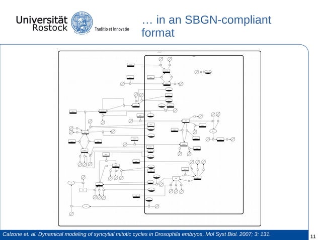 Practices for drawing biological networks using the SBGN standard | PPT