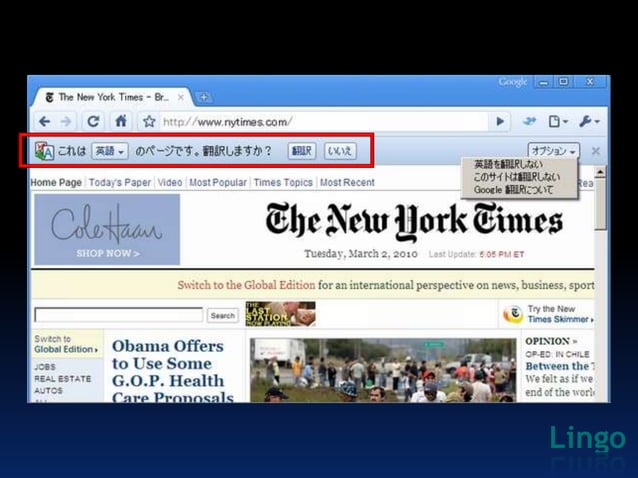 Introducing the Lingo project | PPTX