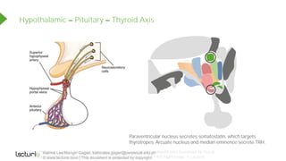 Slides_Thyroid_Endocrine_System.pdf