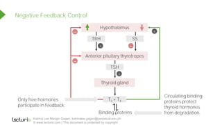 Slides_Thyroid_Endocrine_System.pdf