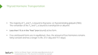 Slides_Thyroid_Endocrine_System.pdf