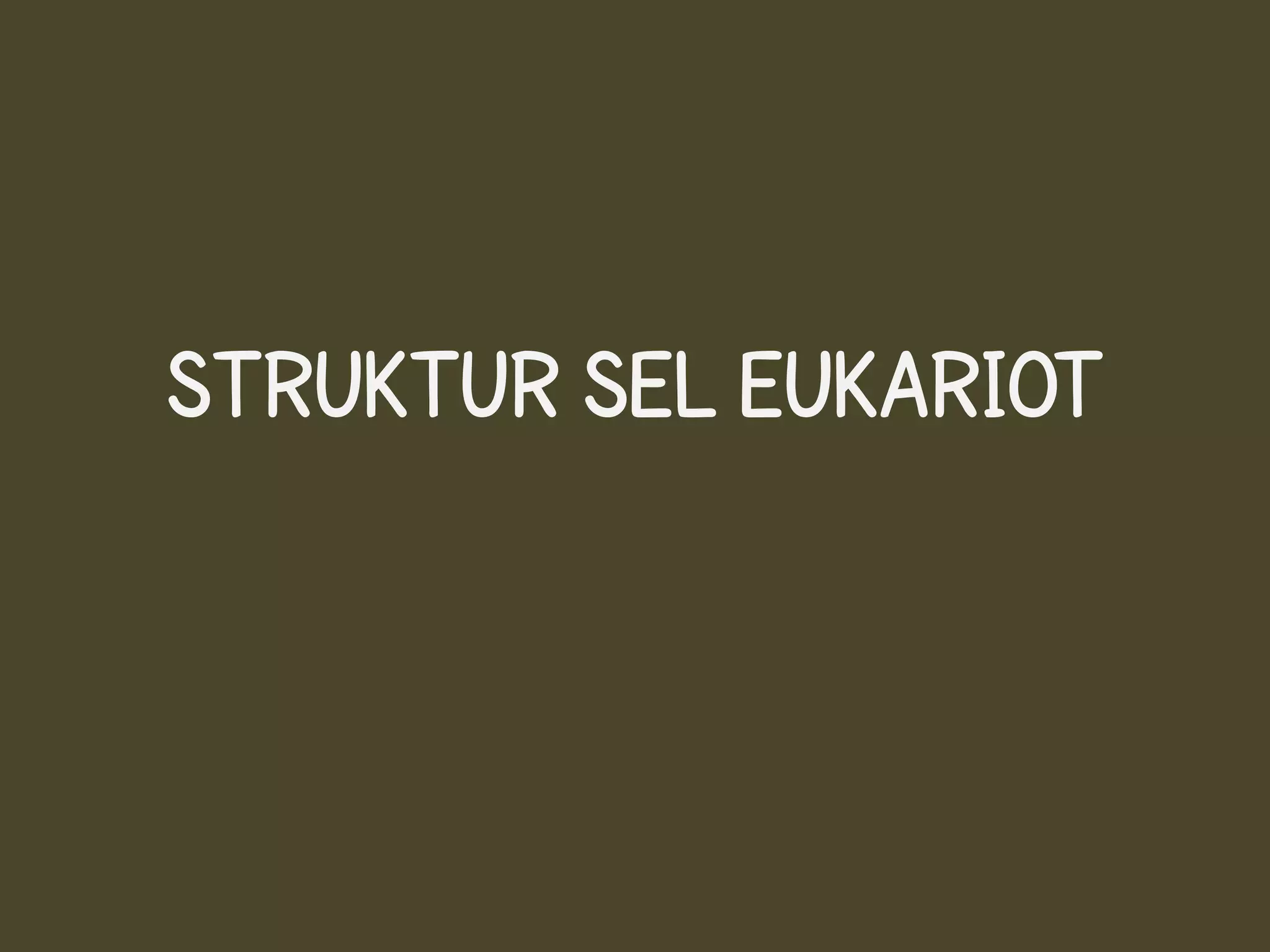Struktur Sel Eukariot | PDF