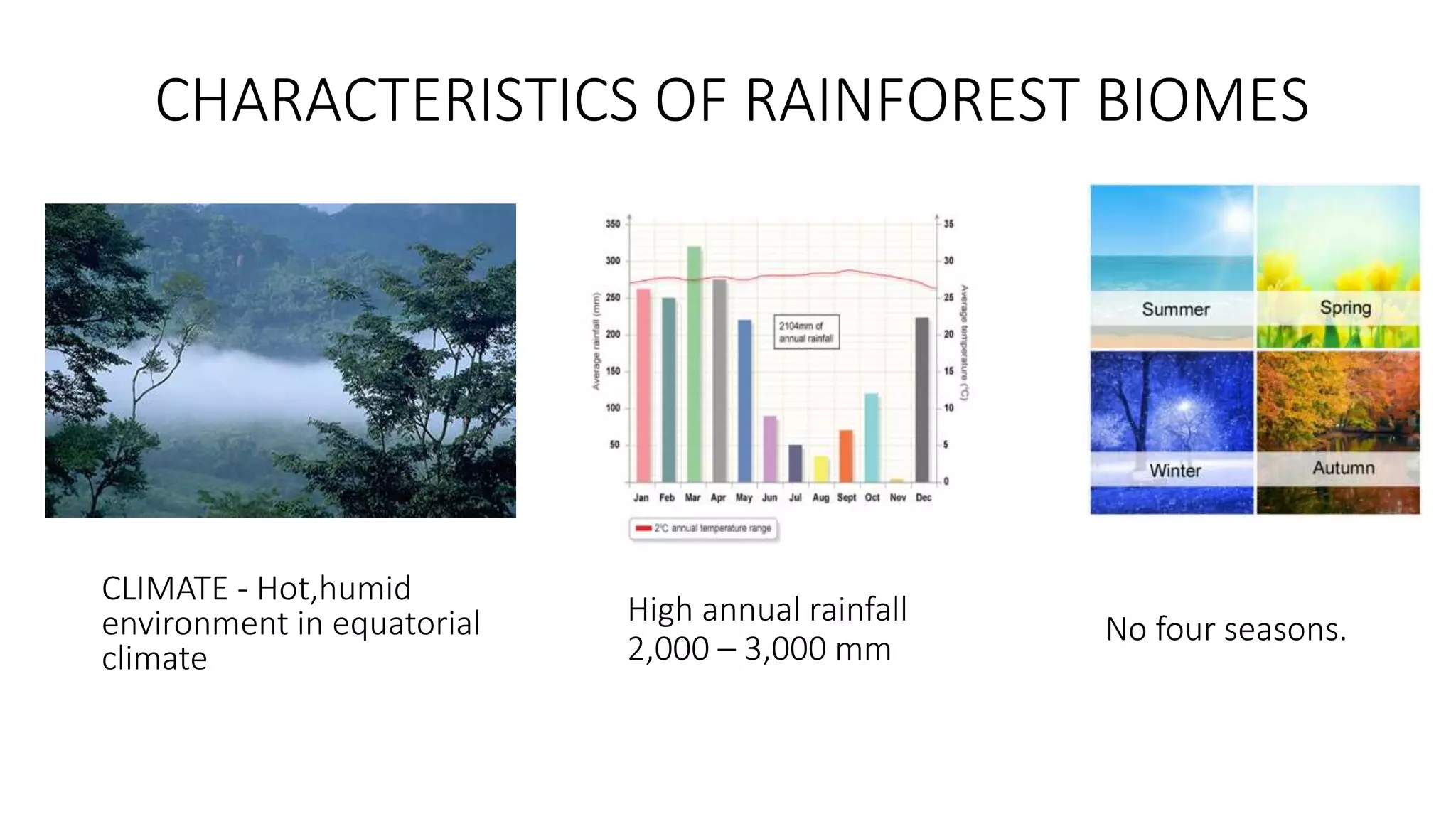 Tropical Rainforest Biomes | PPT