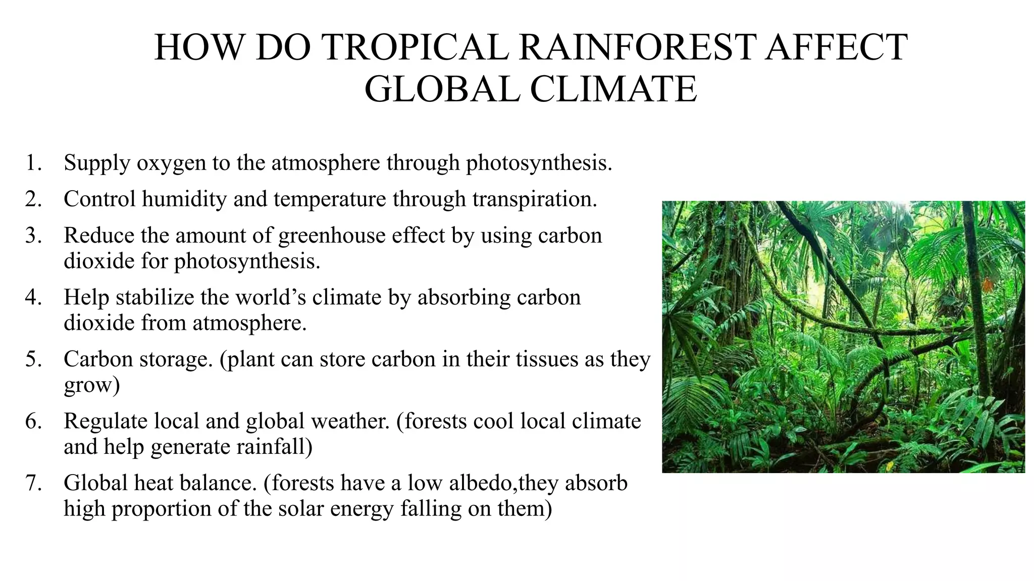 Tropical Rainforest Biomes | PPT