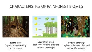 Tropical Rainforest Biomes | PPT