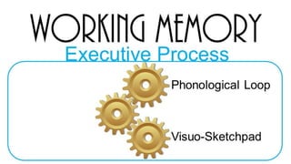 Working Memory | PDF | Brain and Nervous System Disorders | Diseases ...