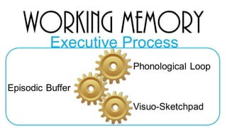 Working Memory | PDF | Brain and Nervous System Disorders | Diseases ...