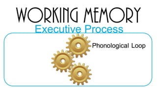 Working Memory | PDF | Brain and Nervous System Disorders | Diseases ...