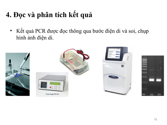 Slide tham khảo về tách chiết, PCR và điện di ADN.ppt